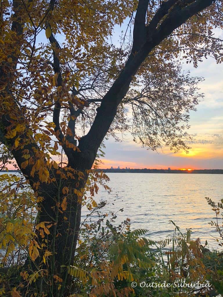 Where to Find Fall Foliage & Fall colors in Dallas Fort Worth • Outside ...